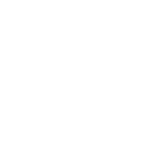 Diamondback Sidekick - Diamondback Firearms